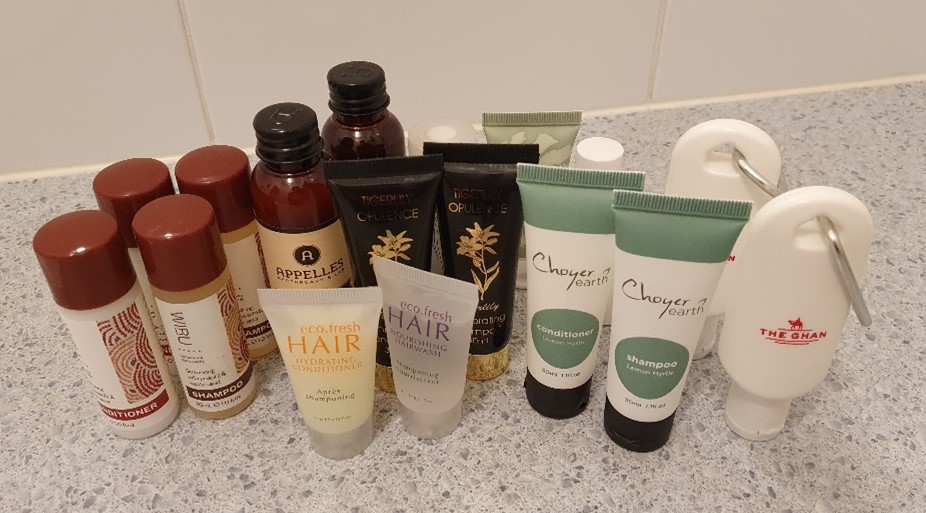 Sustainable Shampoo – Journey to Journal